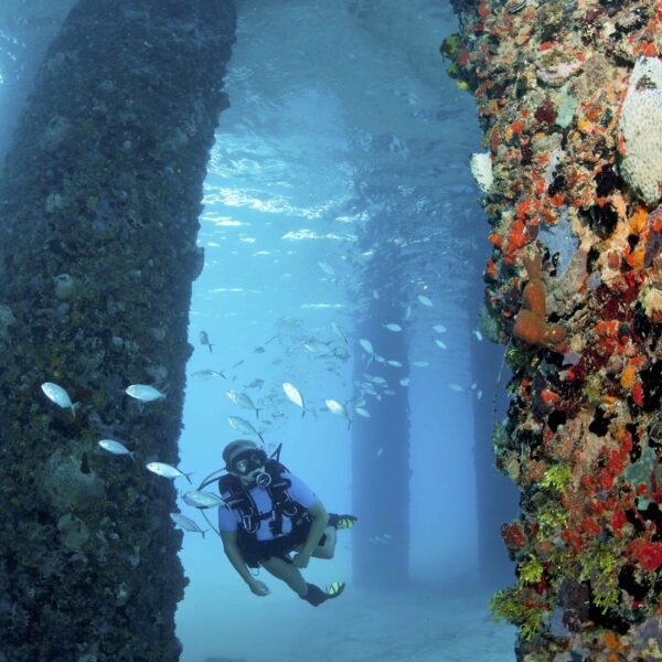 About Cane Bay Dive Shop | Cane Bay Dive Shop Scuba diving St Croix USVI