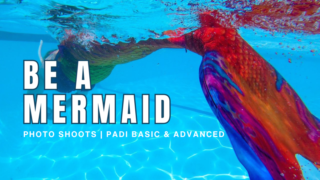 Cane Bay Dive Shop St Croix Scuba Diving and PADI Training | Cane Bay ...