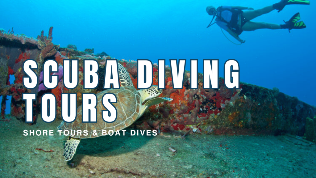 Scuba Diving Tours | Cane Bay Dive Shop Scuba diving St Croix USVI