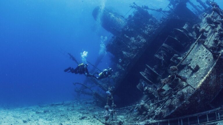 Cane Bay Dive Shop St Croix Scuba Diving and PADI Training | Cane Bay ...