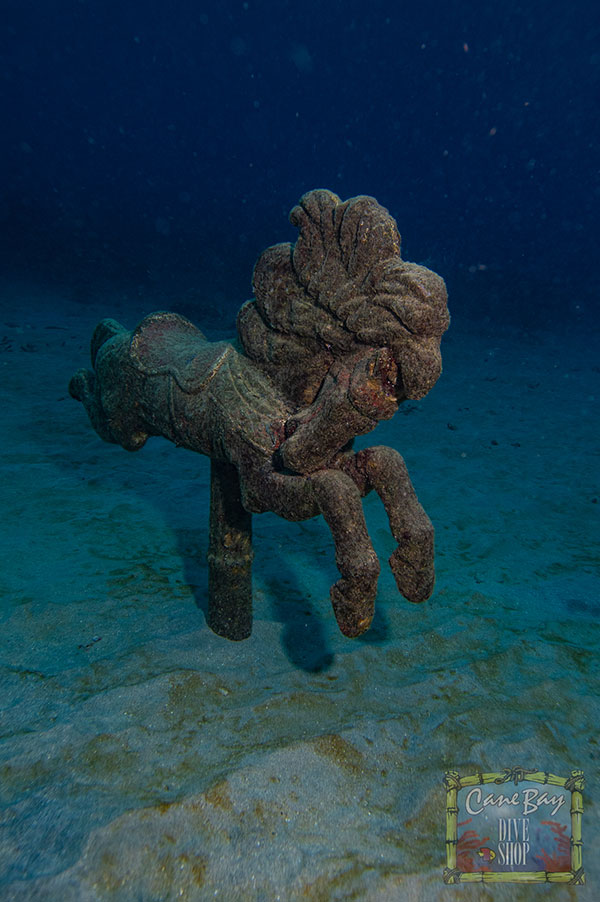 Scuba Diving Tours | Cane Bay Dive Shop Scuba diving St Croix USVI