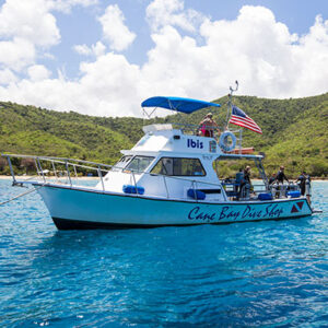 CANE BAY DIVE SHOP DIVE BOAT - IBIS | Cane Bay Dive Shop Scuba diving ...