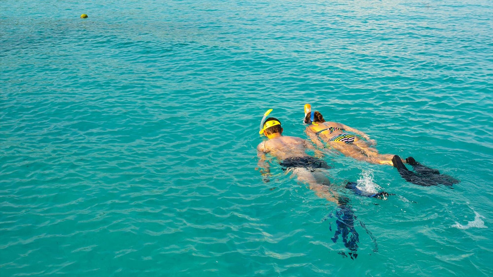 Snorkeling Tours | Cane Bay Dive Shop Scuba diving St Croix USVI